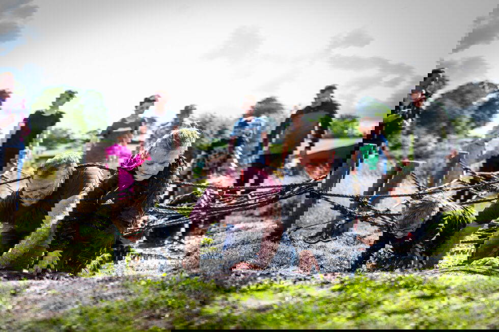 The Bear Trail | Devon's award-winning family assault course